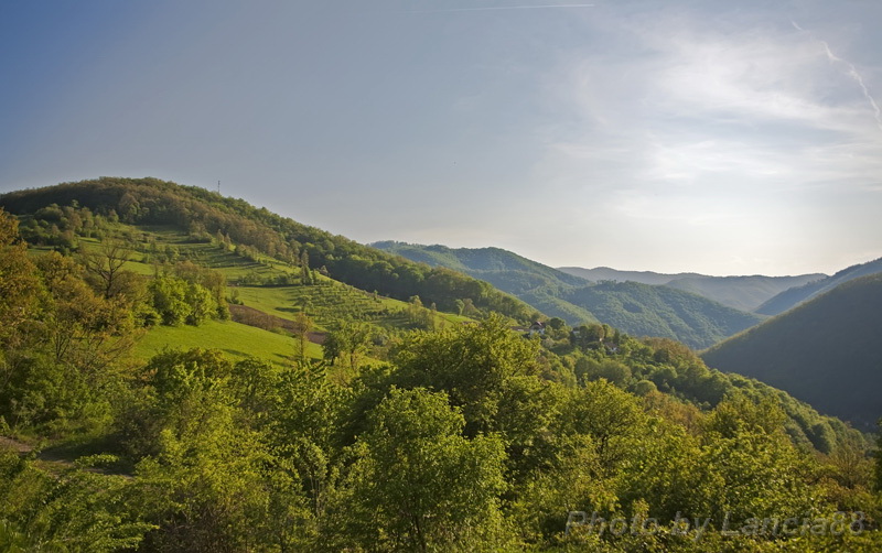 Homoljske Planine, Vrata 815mnv i Kobilja Glava 779mnv, 22.08. - PSD ...