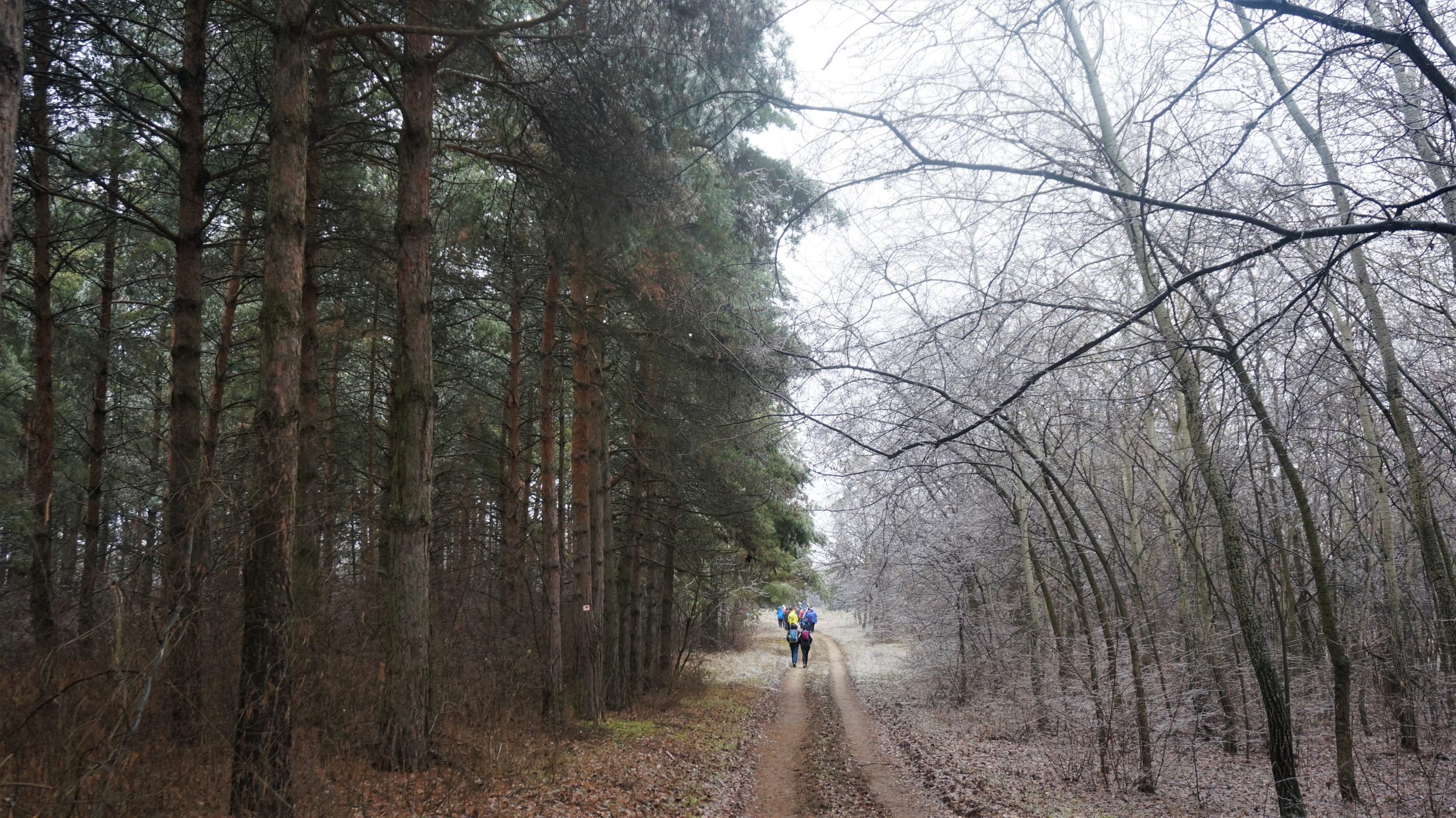 Subotička peščara 22.01 - PSD Stara Pazova