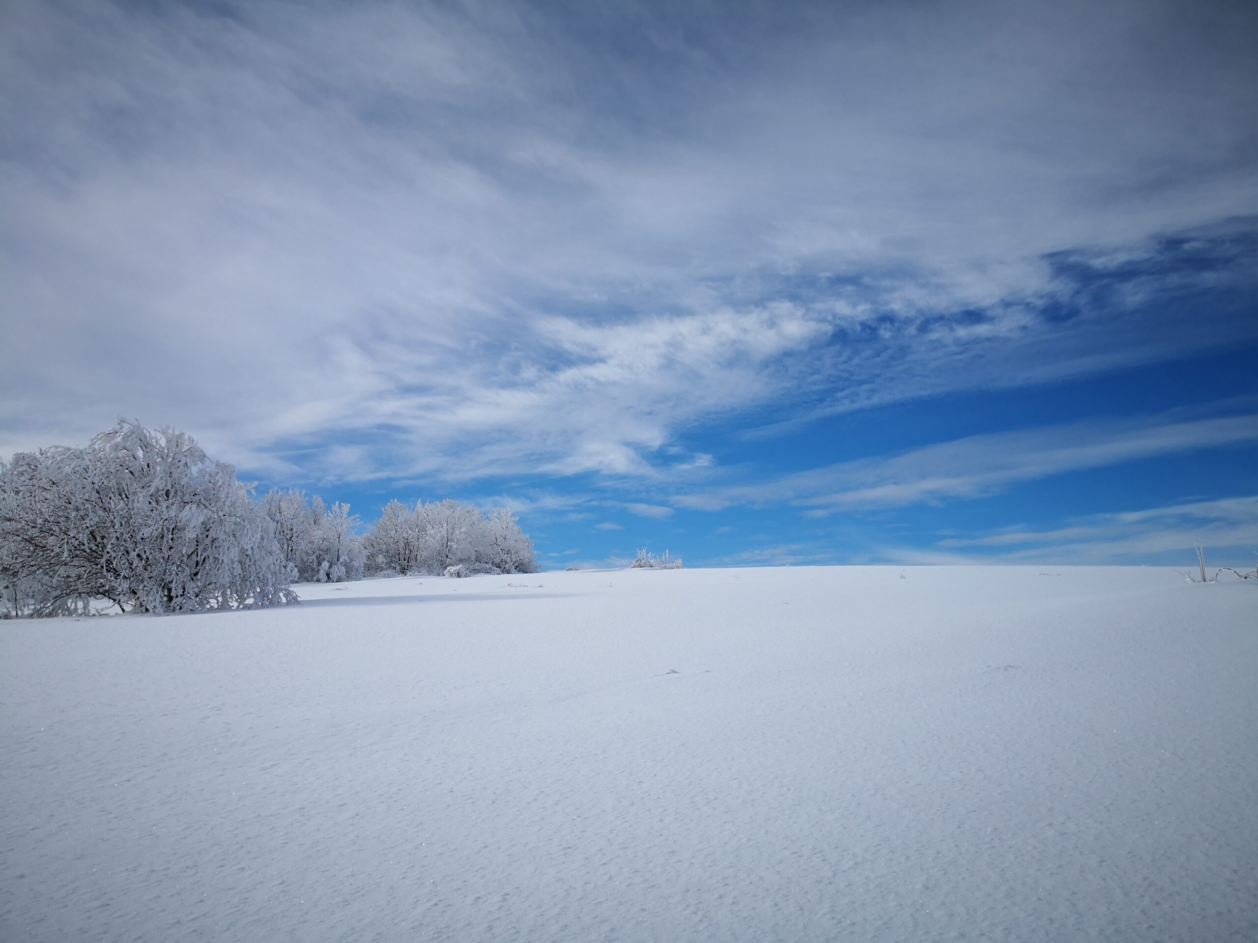 Rajac i Suvobor Iz Sela Ba - PSD Stara Pazova